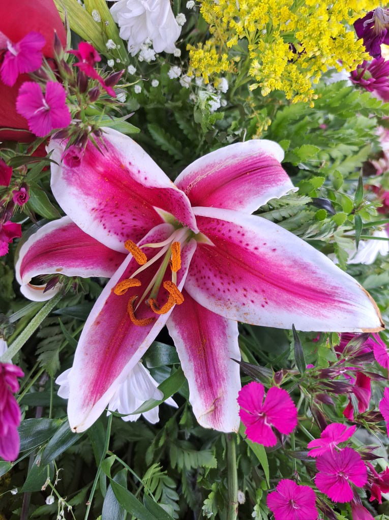 A Letter to Mama – Jeff speaks to life.