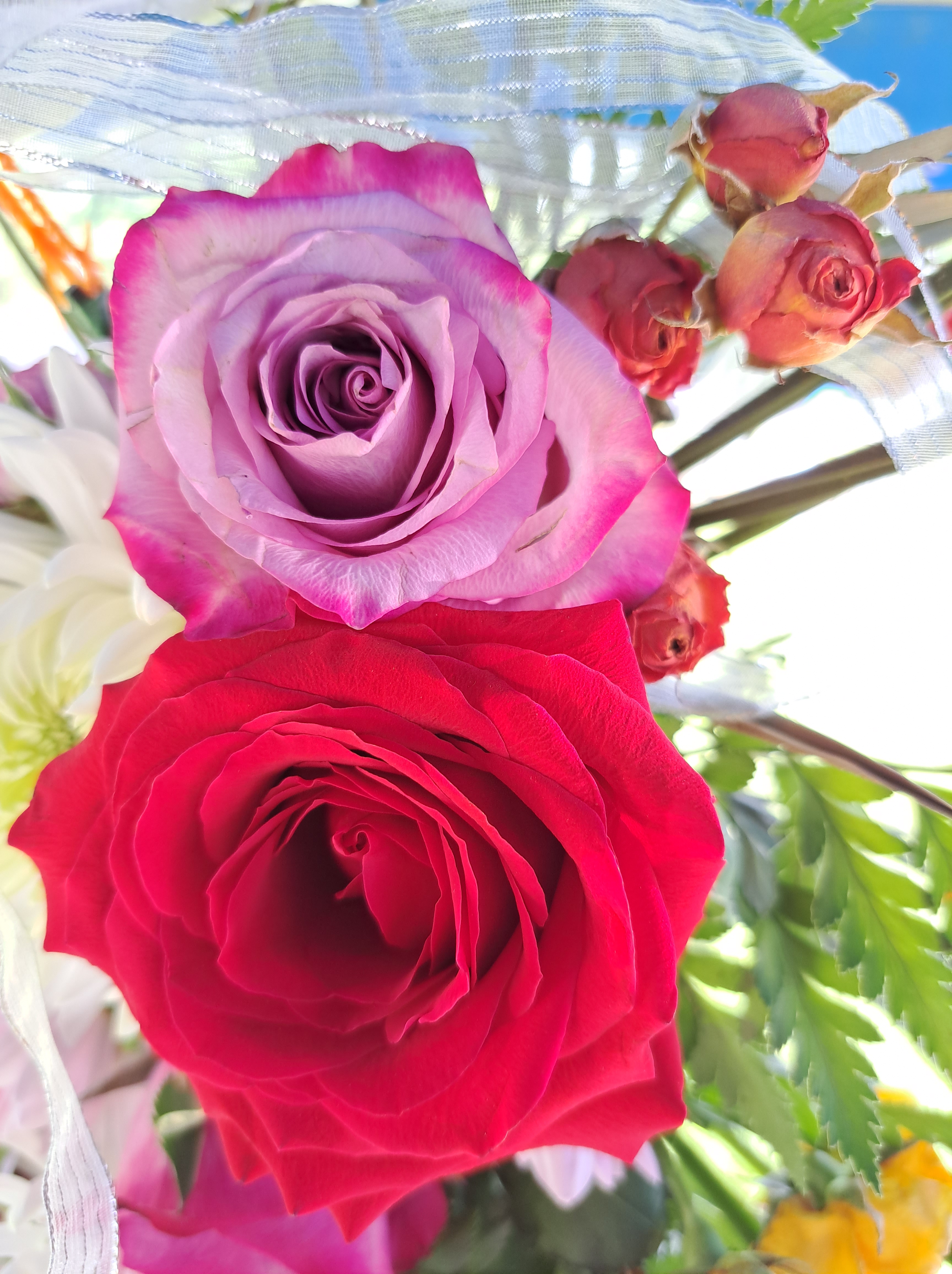 A Letter to Mama – Jeff speaks to life.